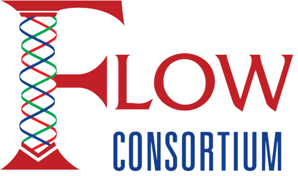 The Creators - Flow Consortium